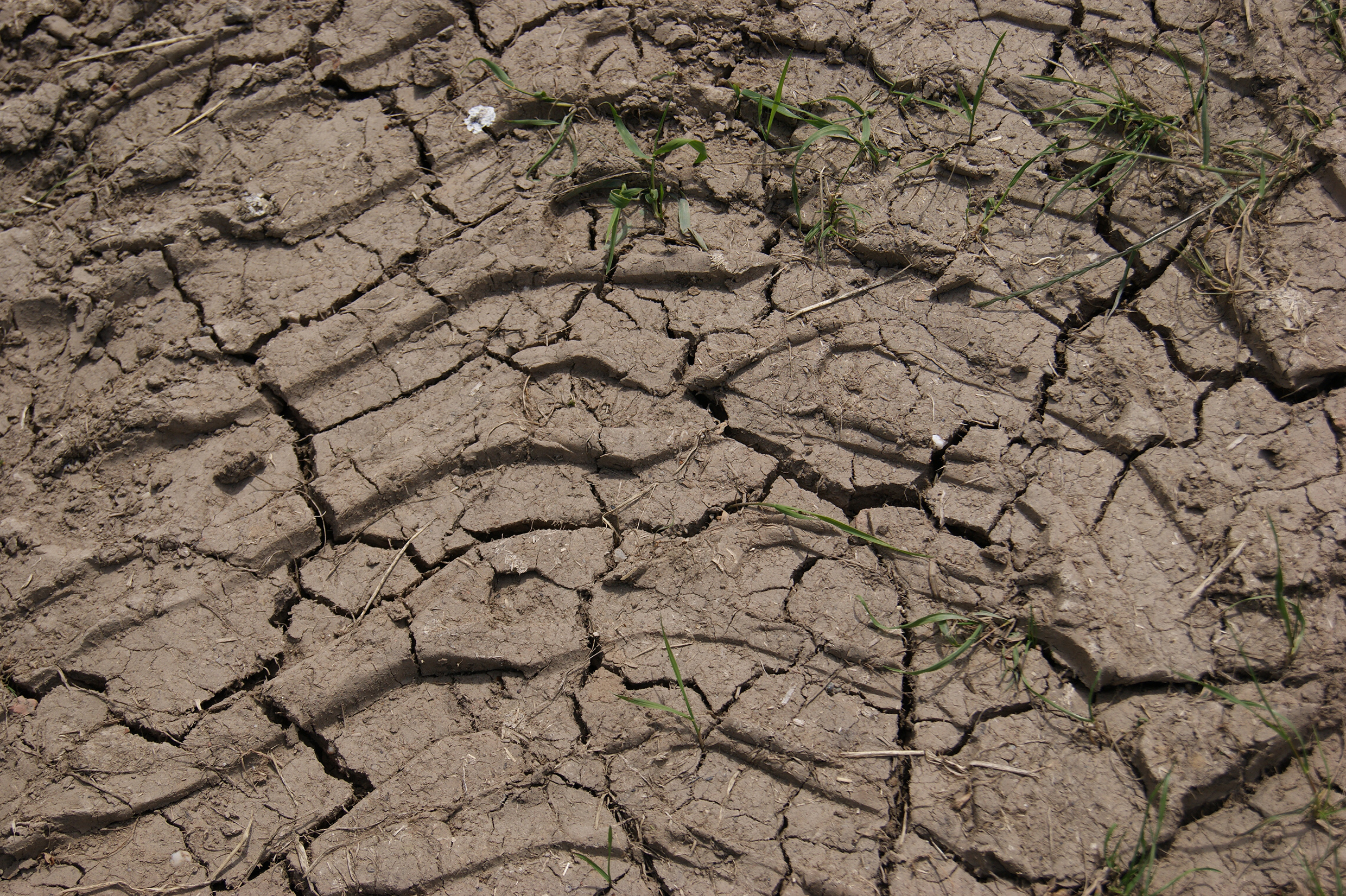 Igitt, das lebt ja! – Die wunderbare Welt des Bodens | Hochschule Rhein ...
