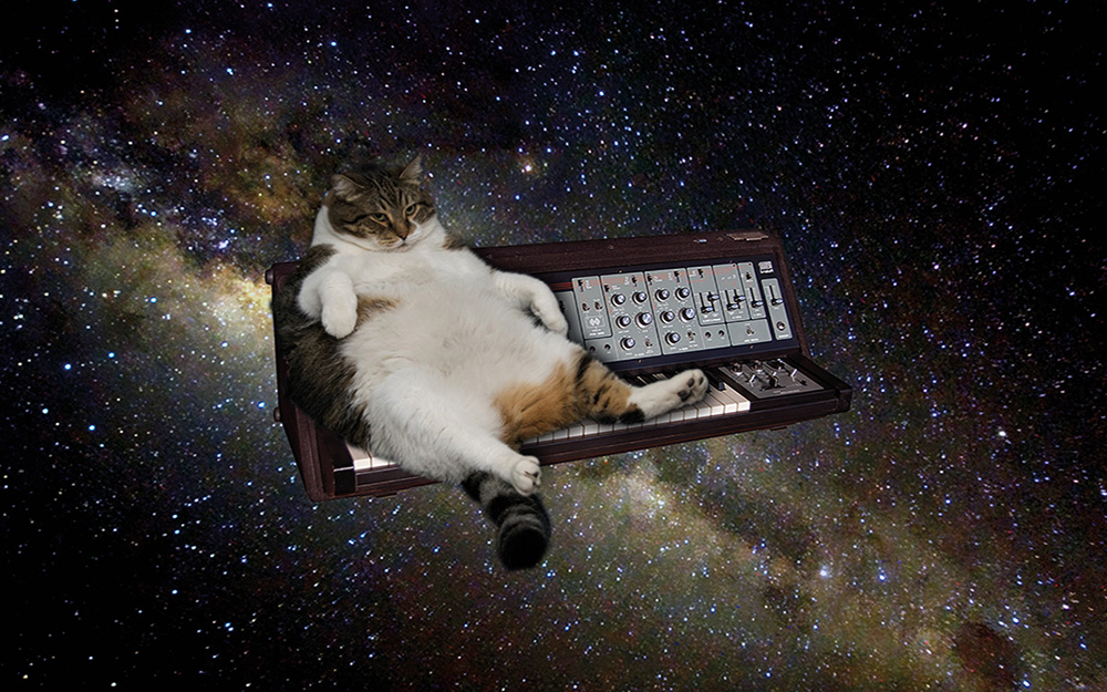 Anatal and Digilog – An art exhibition by Rhine-Waal students | Rhine ...